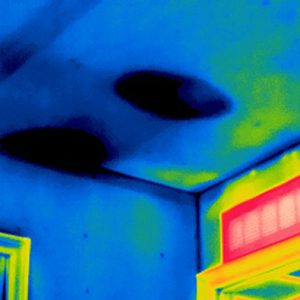Building Sciences - Corporate Applications - Thermal Imaging Partners